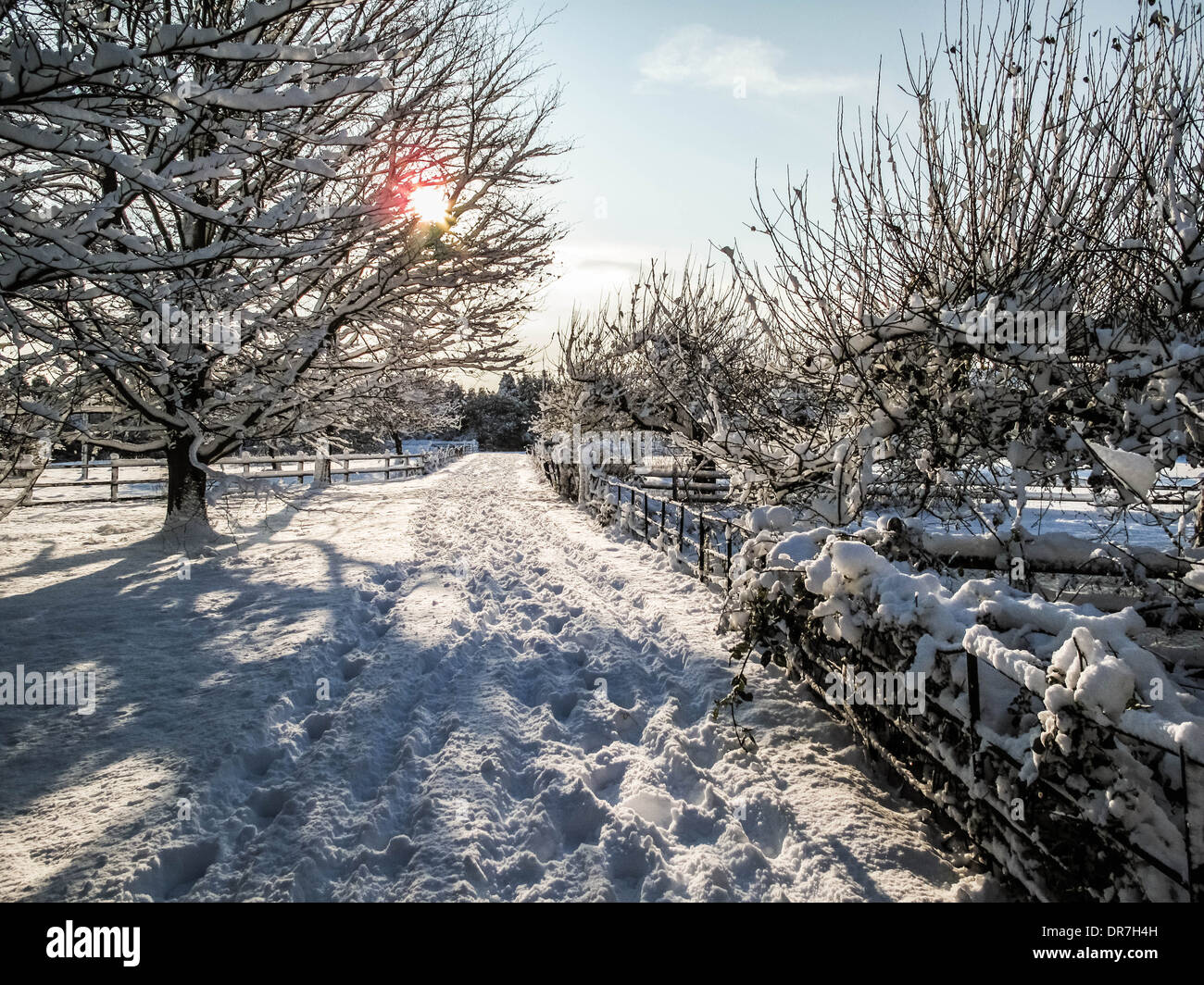Snow covered Kent country landscape in UK Stock Photo - Alamy