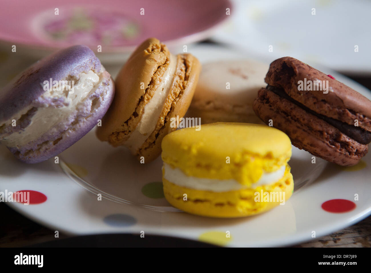 biscuits, macaroons, sugar, sweets, cake, teatime, spotty plate ...