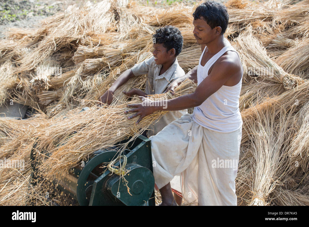 Villagers in the Sunderbans use a foot pedal powered machine for ...