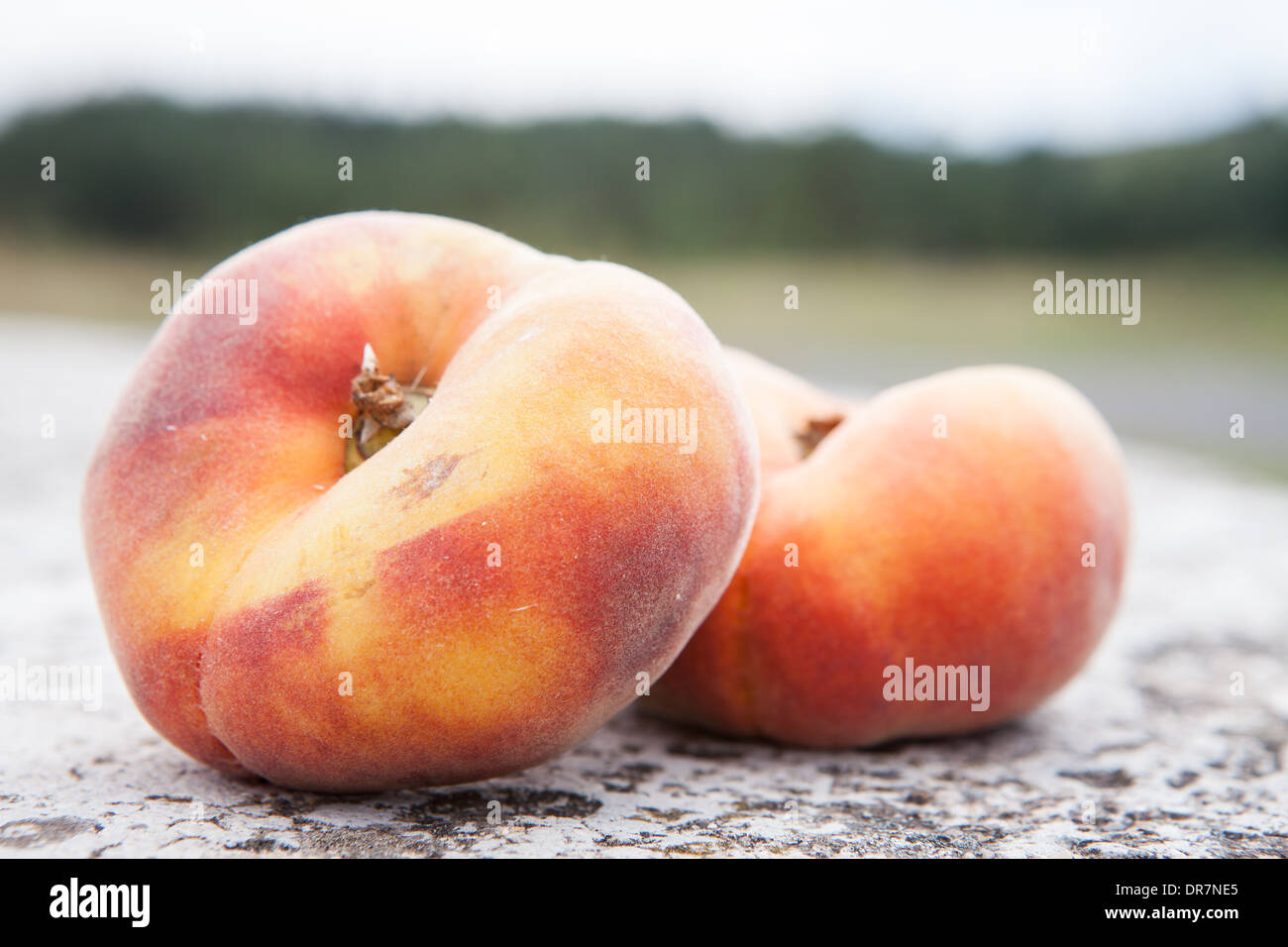 peaches, saturn peach, doughnut peach, picnic Stock Photo - Alamy