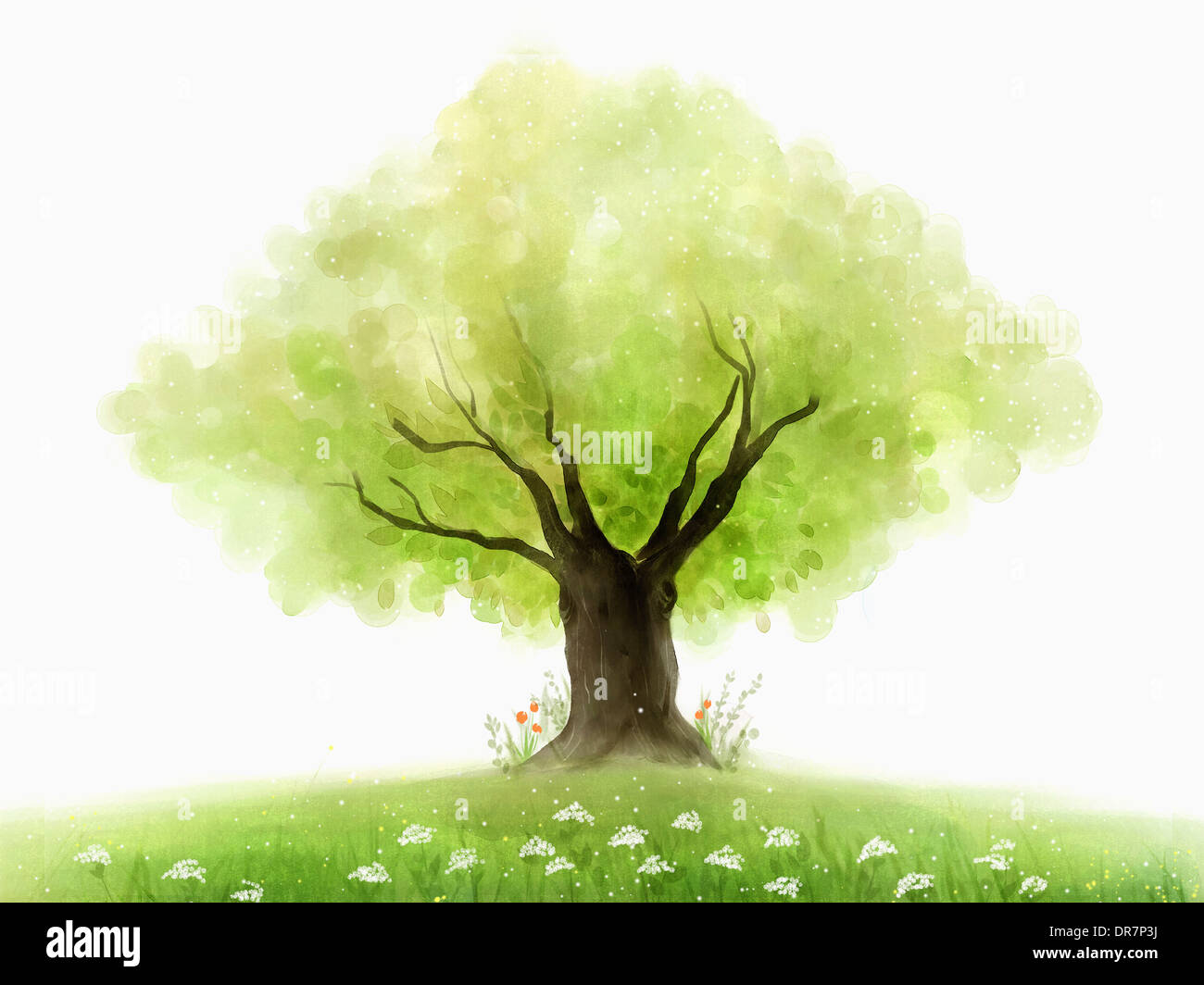 illustration of a tree on field Stock Photo - Alamy