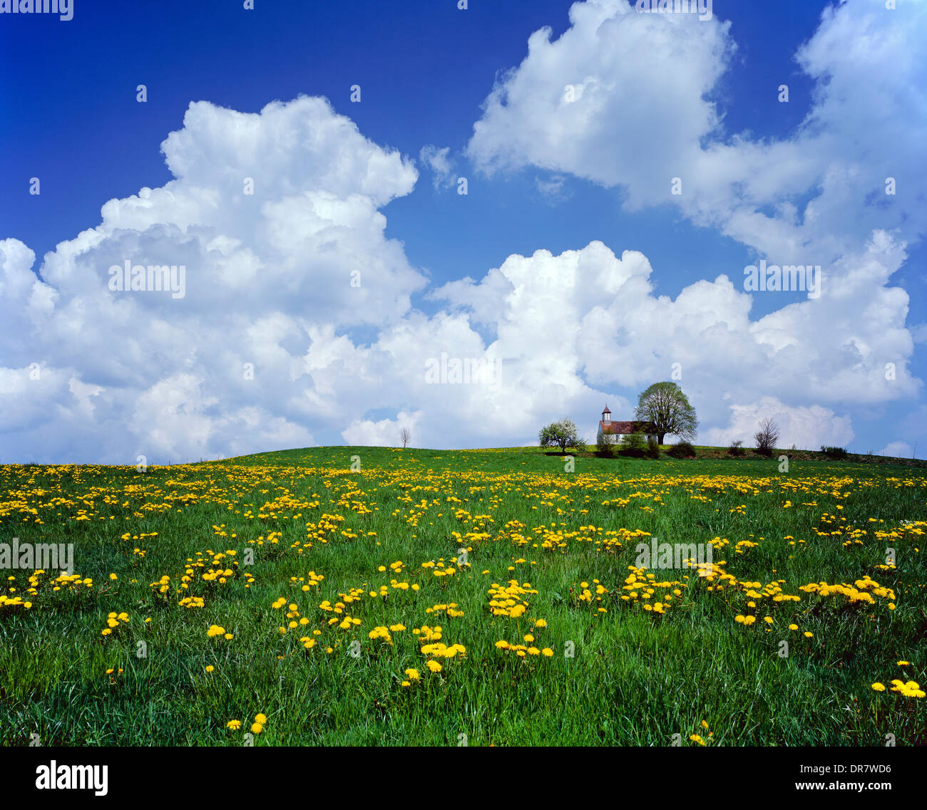 Amtzell hi-res stock photography and images - Alamy