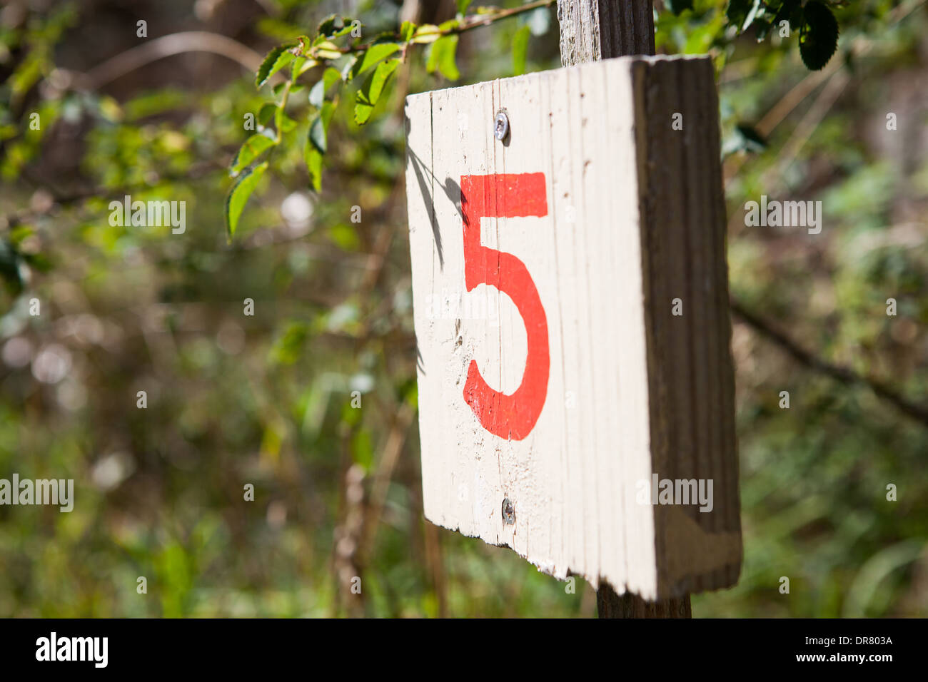 5, five, red 5, wooden sign in countryside, green leaves Stock Photo ...