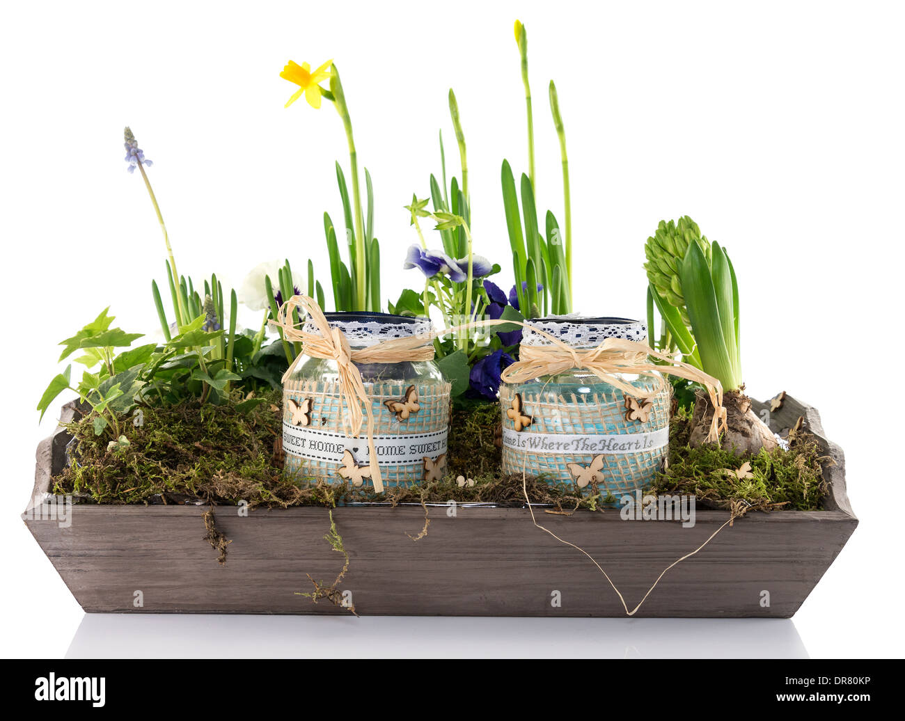 Miniature garden plate hi-res stock photography and images - Alamy