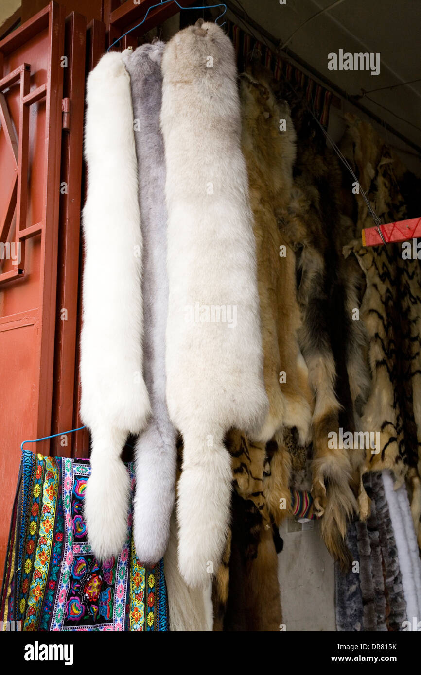 Animal skin / skins of animals (what look like rare endangered animal ...