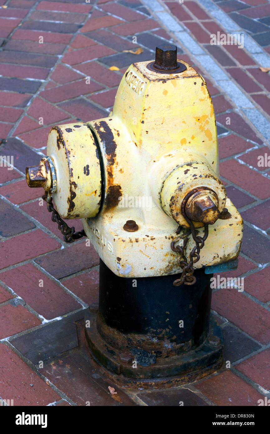 Black and yellow fire hydrant, with Freedom Trail pavement marker ...