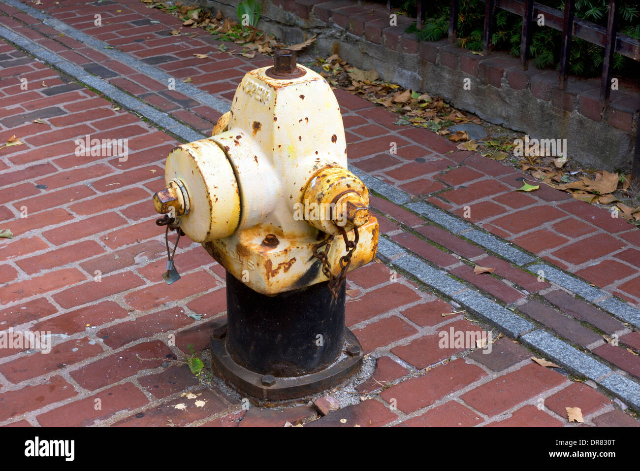 Black and yellow fire hydrant, with Freedom Trail pavement marker ...