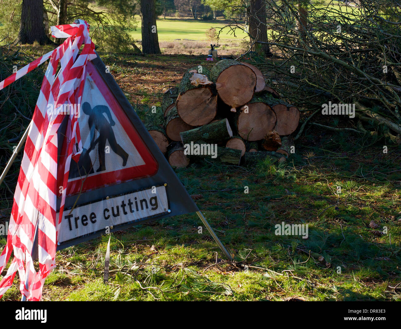 Tree cutting sign hi-res stock photography and images - Alamy