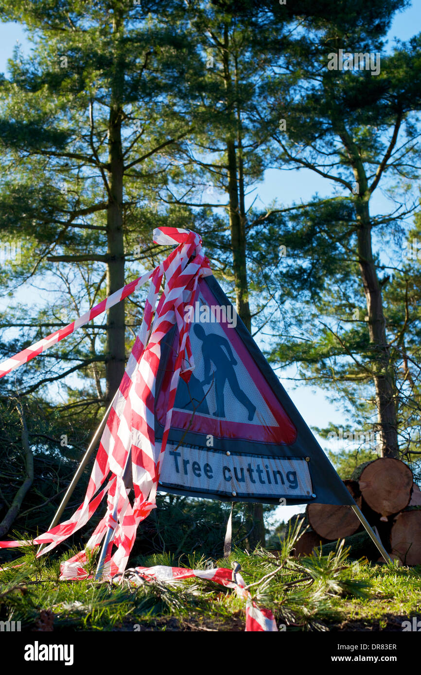 A Tree Cutting sign with marker tape and stacked cut wood in a forest ...
