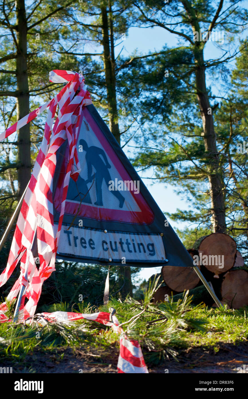 Tree Cutting Sign High Resolution Stock Photography and Images - Alamy