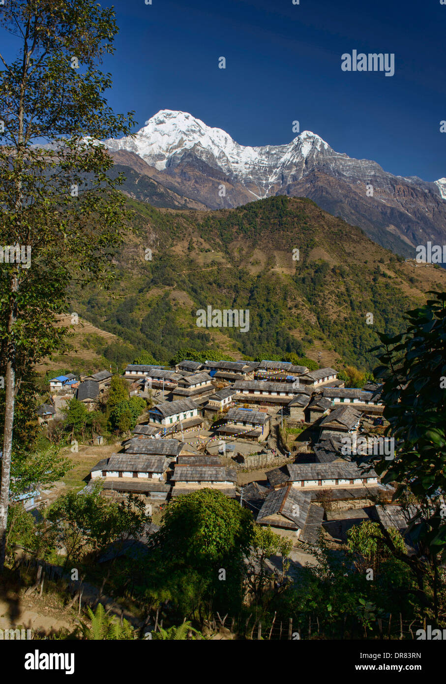 Nepal hiunchuli peak annapurna south range hi-res stock photography and ...