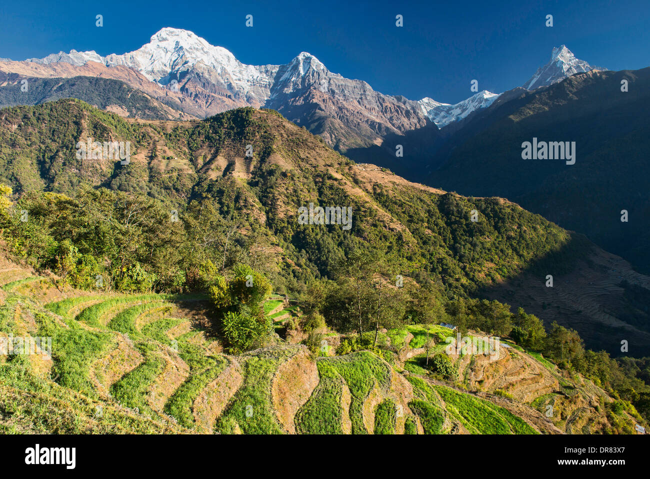 Nepal mountains hi-res stock photography and images - Alamy