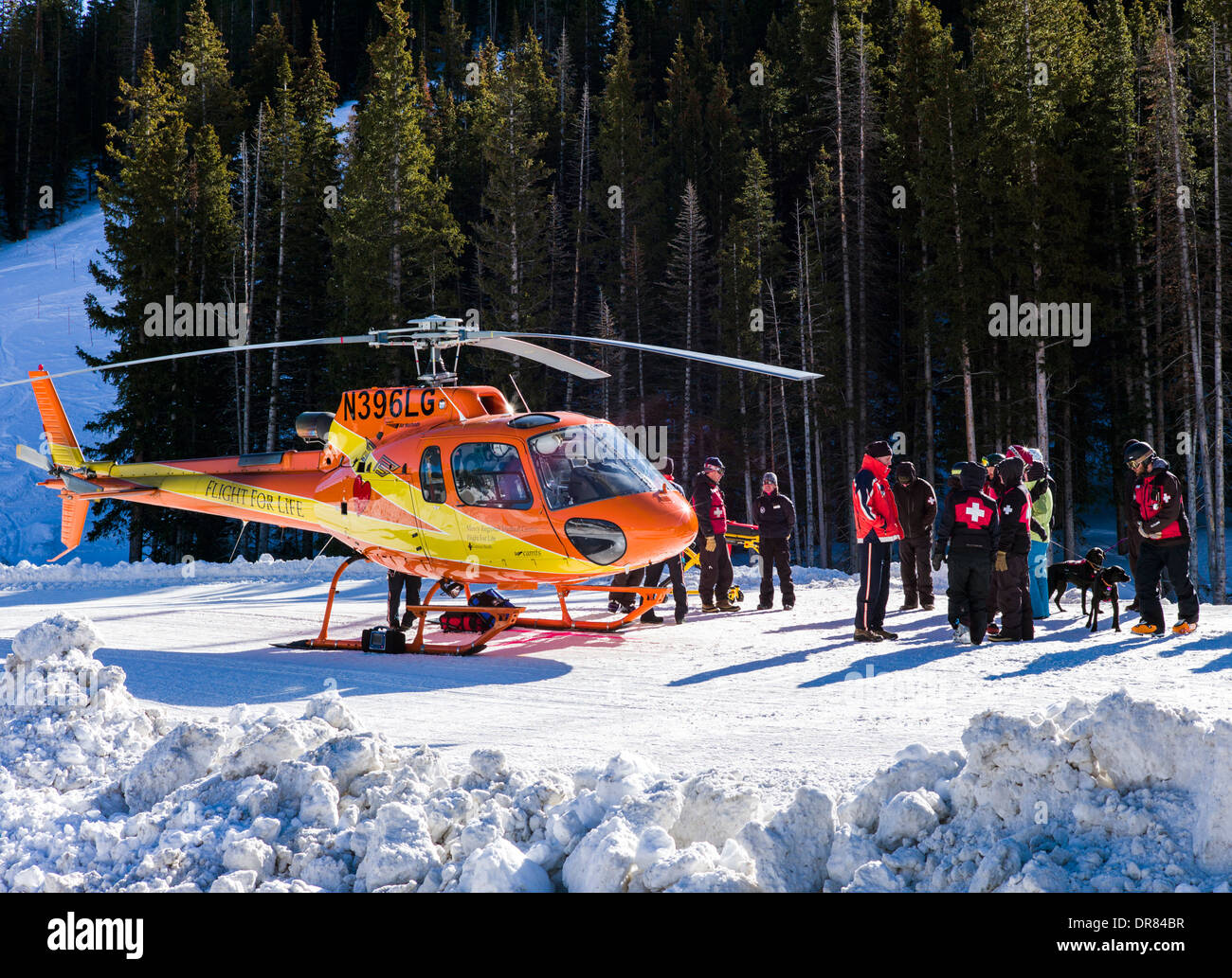 Colorado avalanche dogs hi-res stock photography and images - Alamy