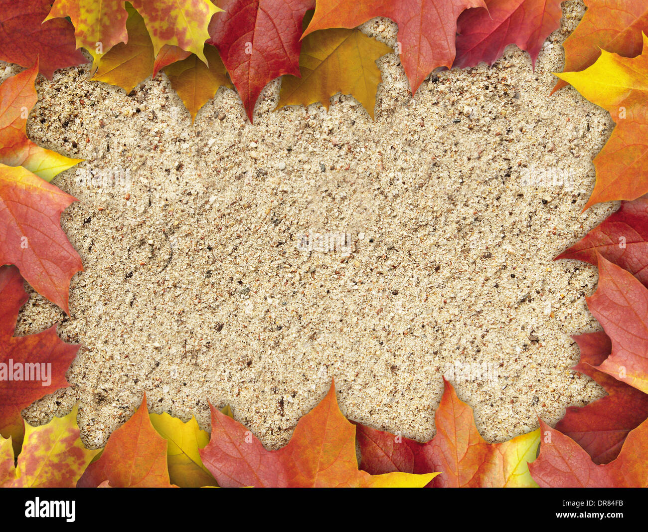 Leaves frame foliage framework fall hi-res stock photography and images ...