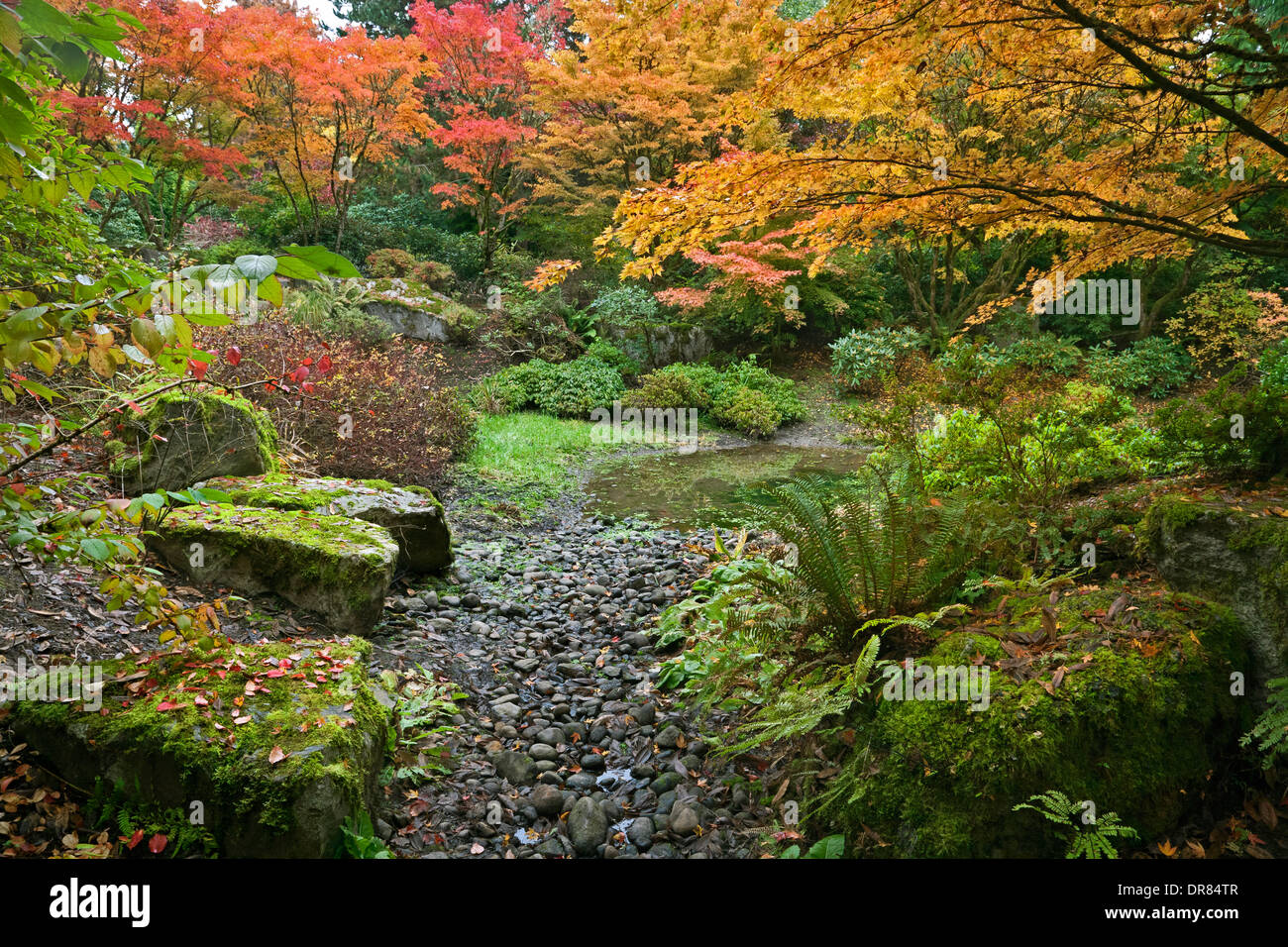 WASHINGTON - Fall time around a small pond at the Washington Park ...