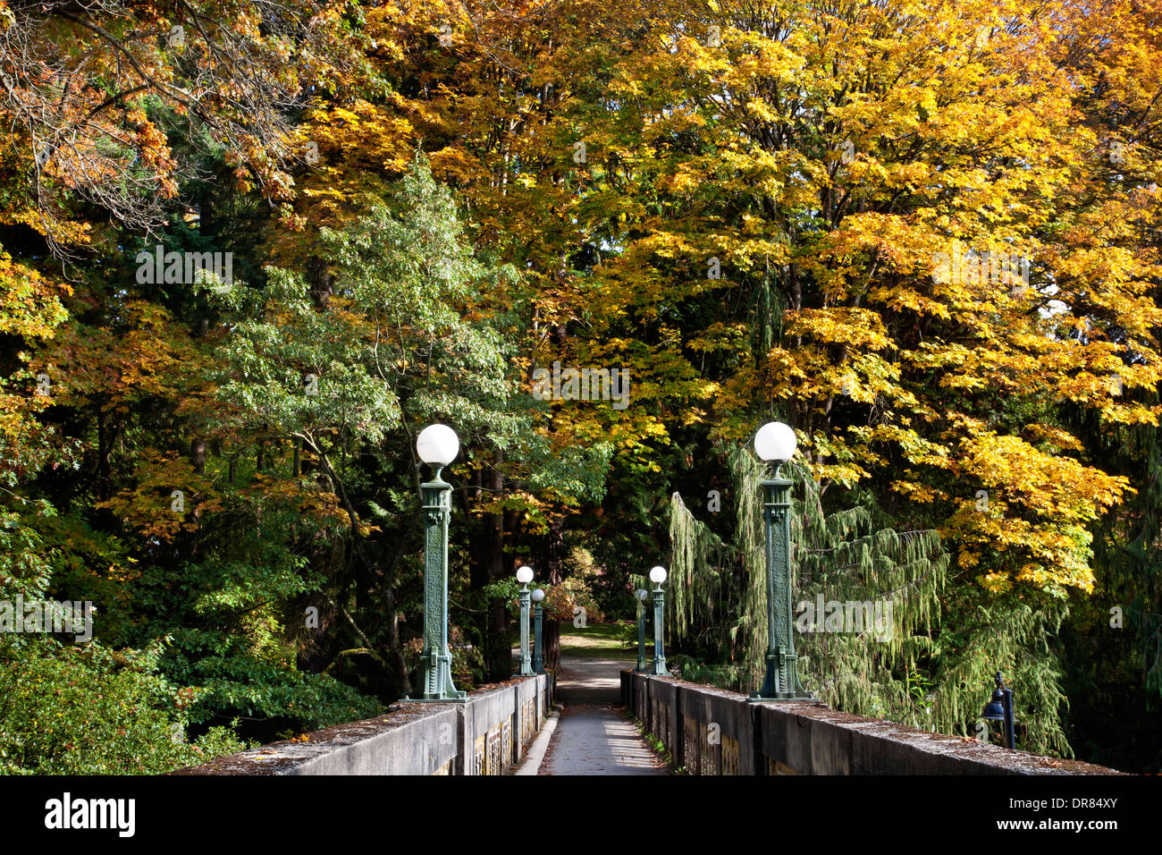 WASHINGTON - Bridge to the Washington Park Arboretum in Seattle Stock ...