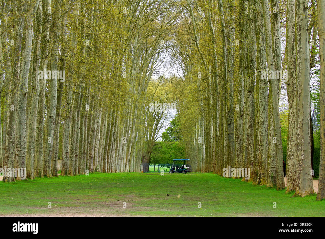 Greenery around a road hi-res stock photography and images - Alamy