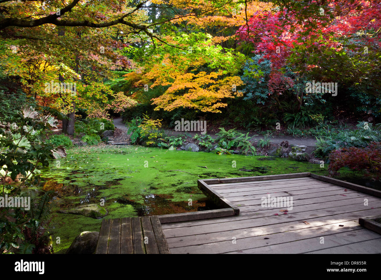 Viewing platform on small hi-res stock photography and images - Alamy