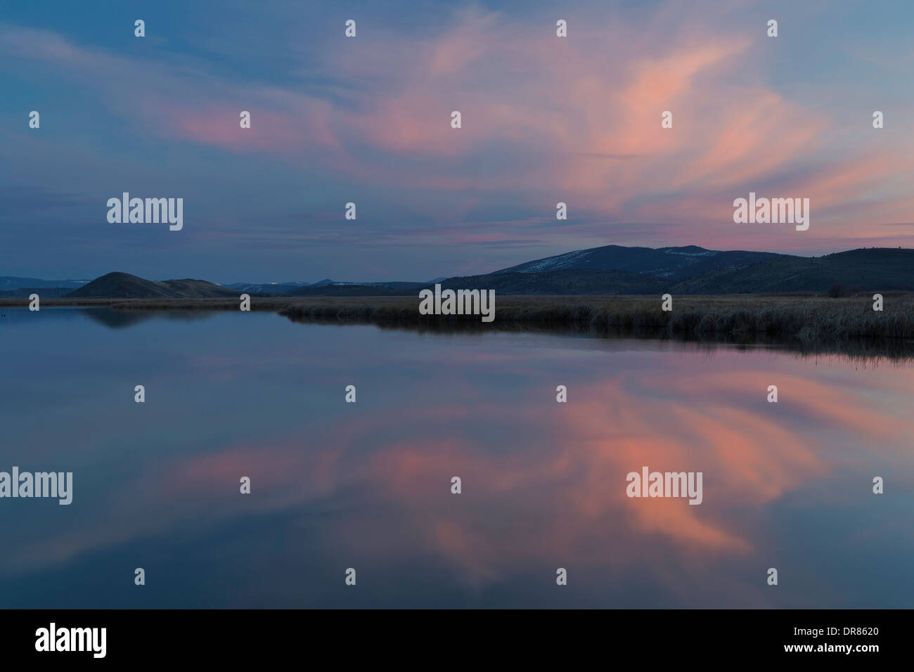 Reflective ponds hi-res stock photography and images - Alamy