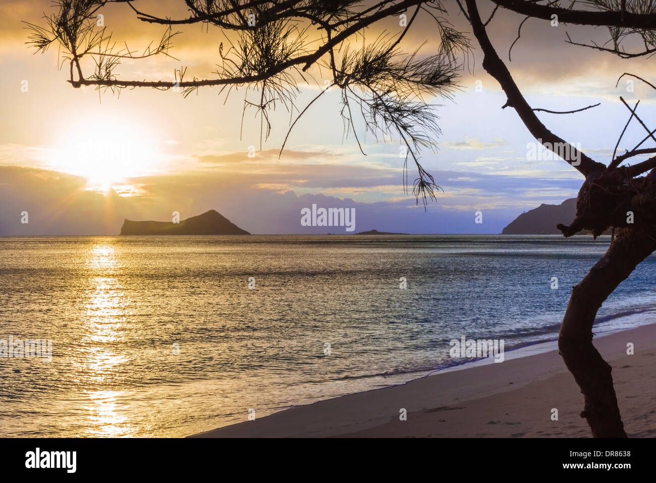 Waimanalo beach at dusk on oahu hi-res stock photography and images - Alamy