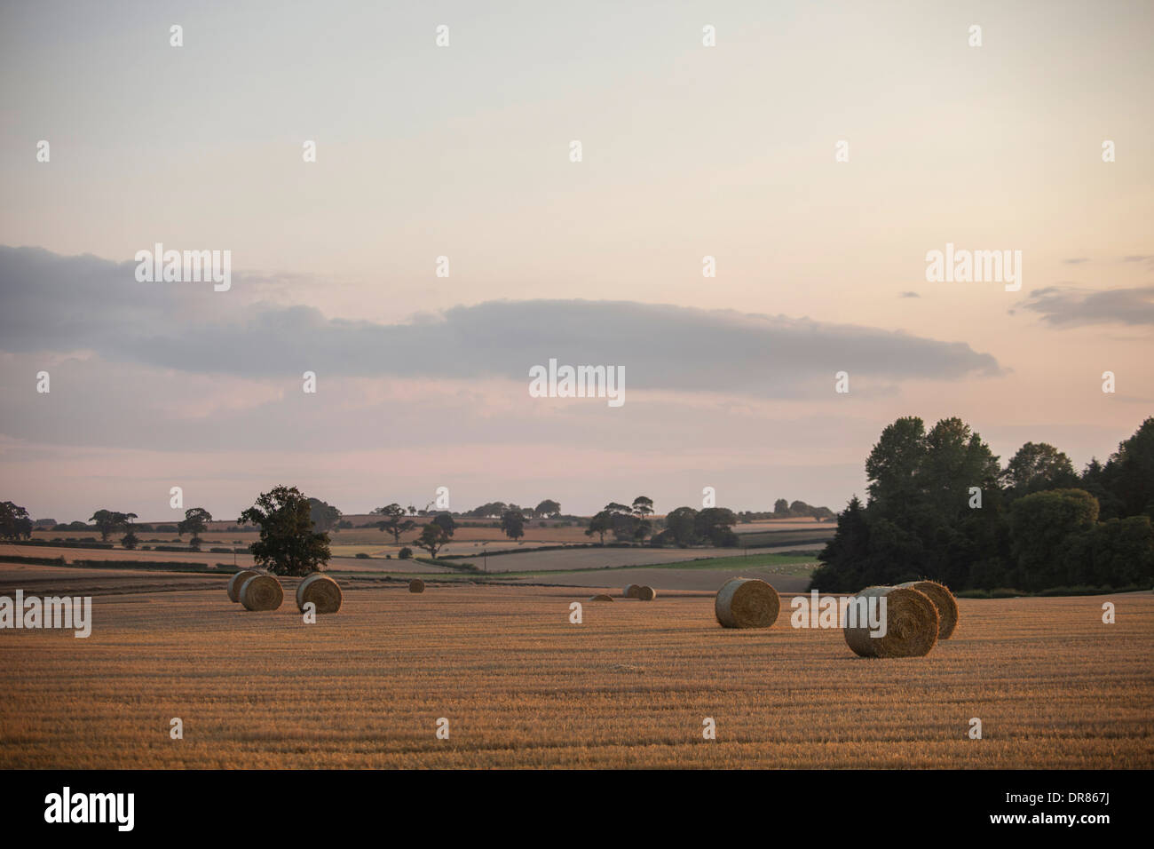 Farming community scottish borders hi-res stock photography and images ...