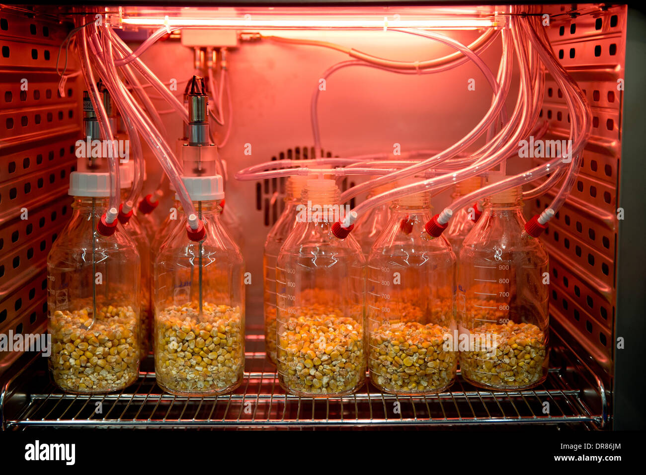 Nuremberg, Germany. 14th Jan, 2014. A fermenting station of German ...