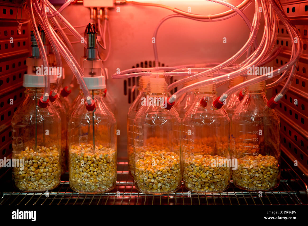 Gas incubator High Resolution Stock Photography and Images - Alamy