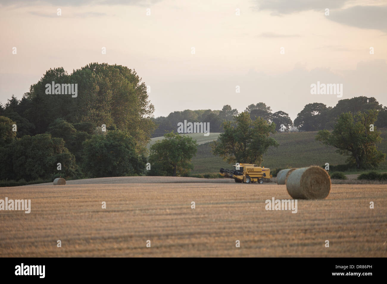 Haymaking in agricultural fields in the Scottish Borders near Kelso ...