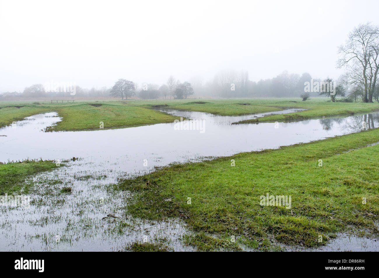 Flooded irrigation ditches and channels in Harnham Water Meadows ...
