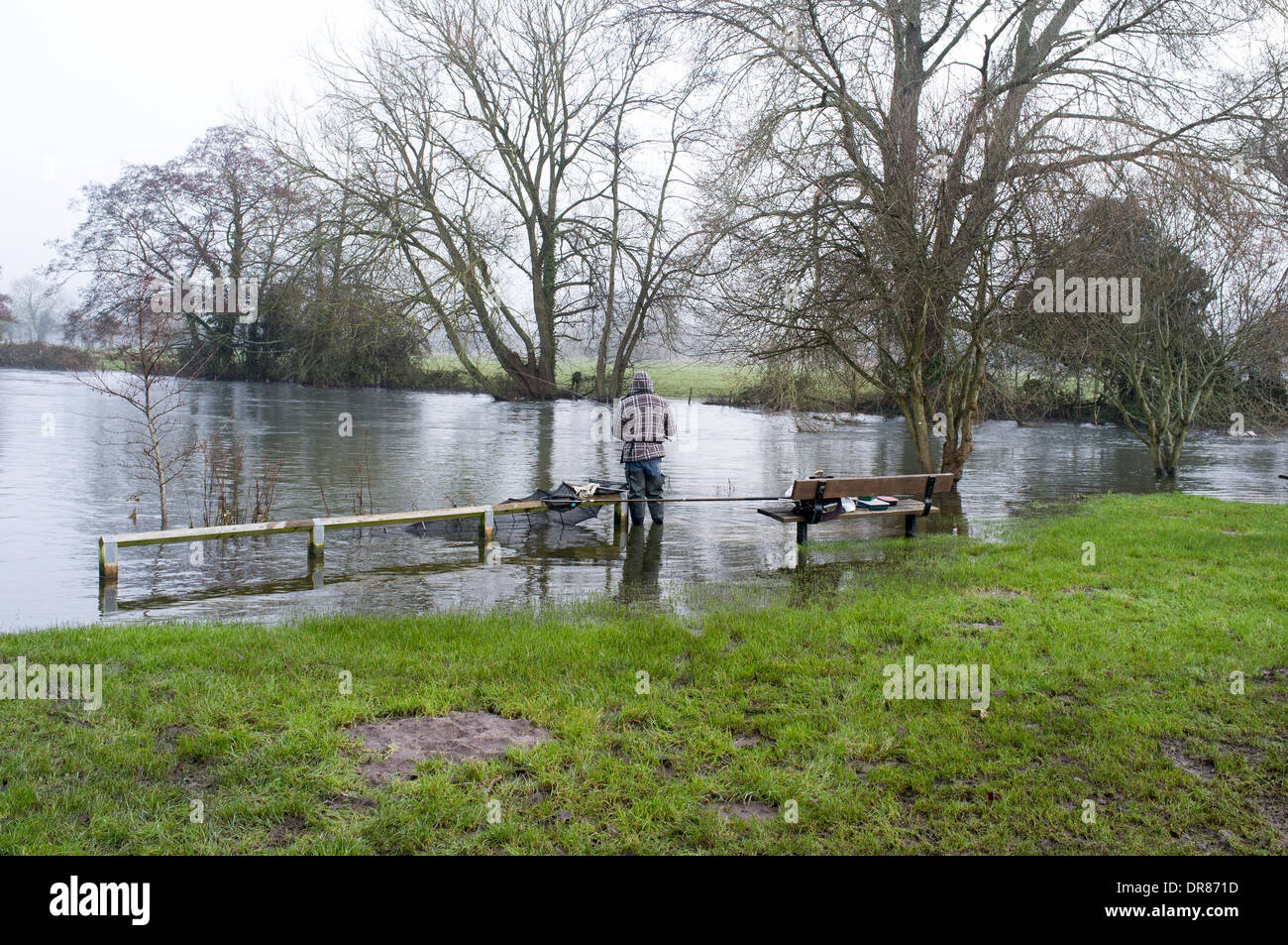 Fisherman standing in floodwater on the River Avon at Harnham Mill ...