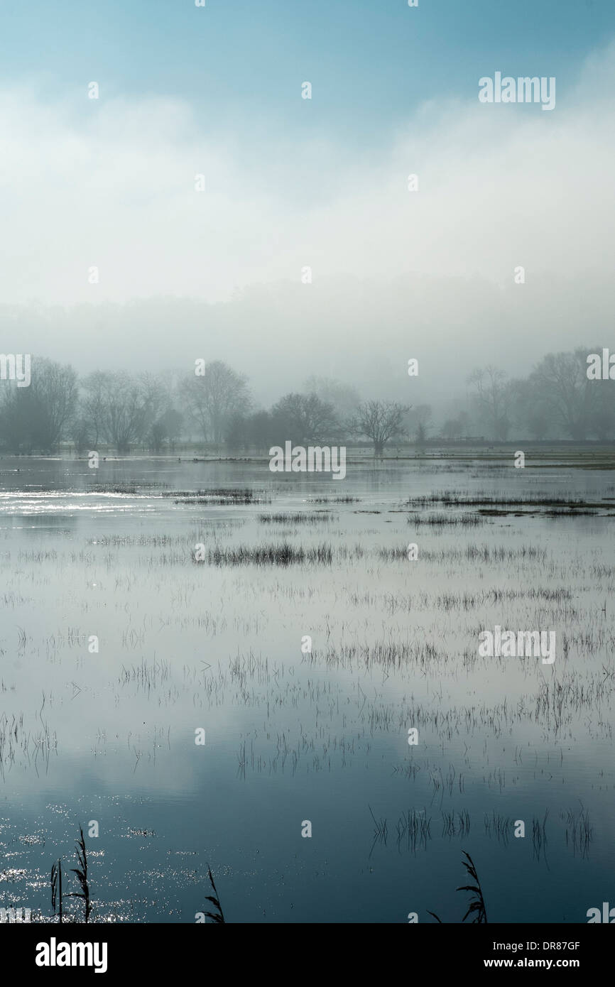 Misty morning Harnham Water Meadows beside the River Avon in Salisbury ...