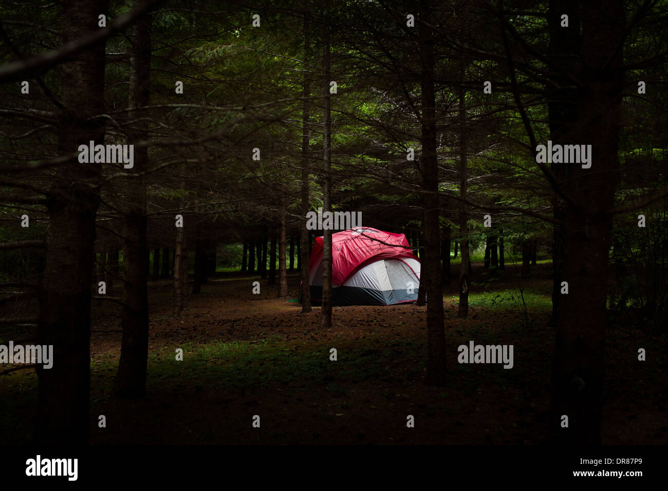 Tahuya hi-res stock photography and images - Alamy