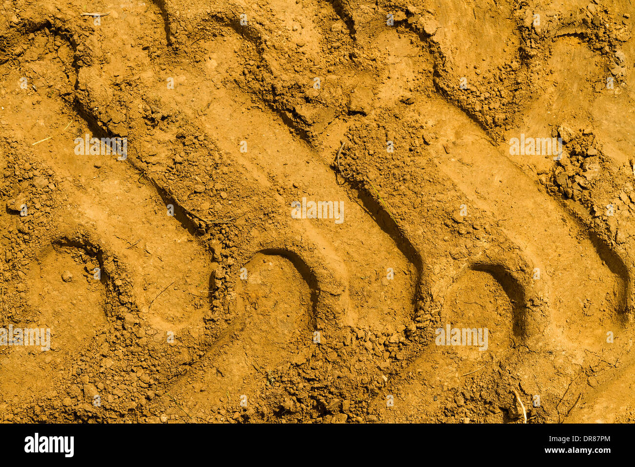 automobile trace on building site Stock Photo - Alamy