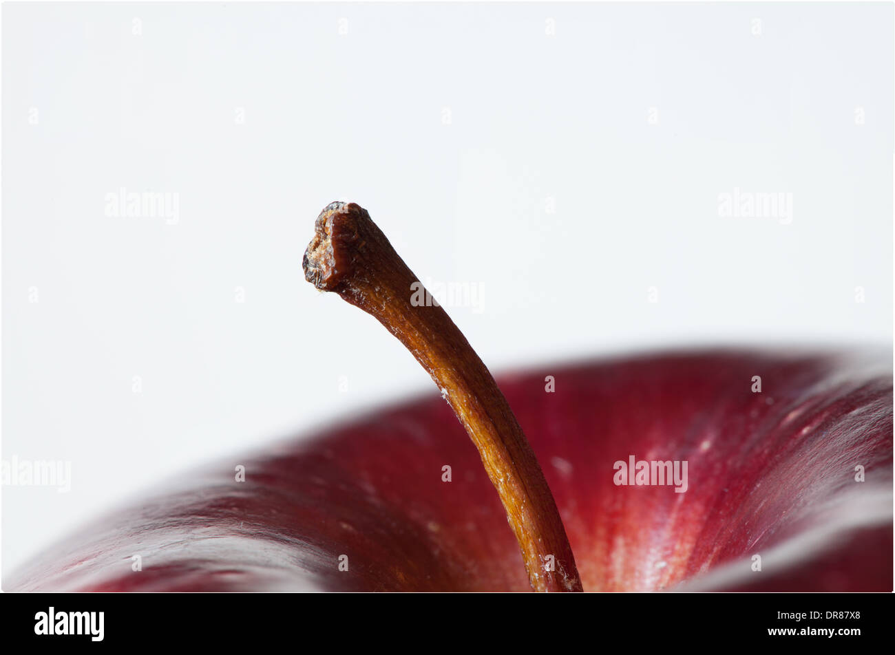 Lone apple tree hi-res stock photography and images - Alamy