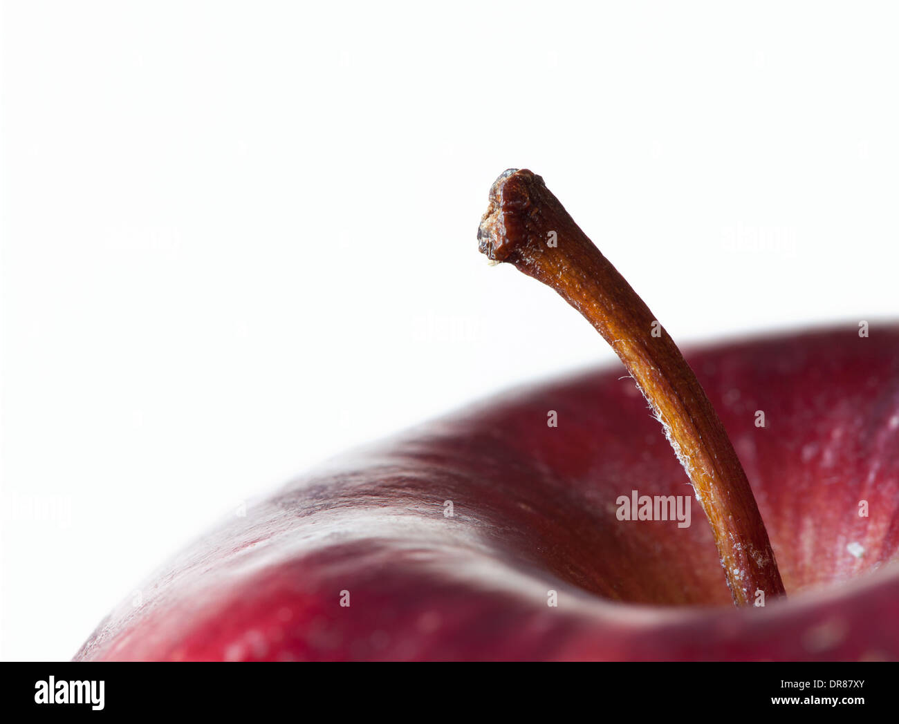 Lone apple tree hi-res stock photography and images - Alamy