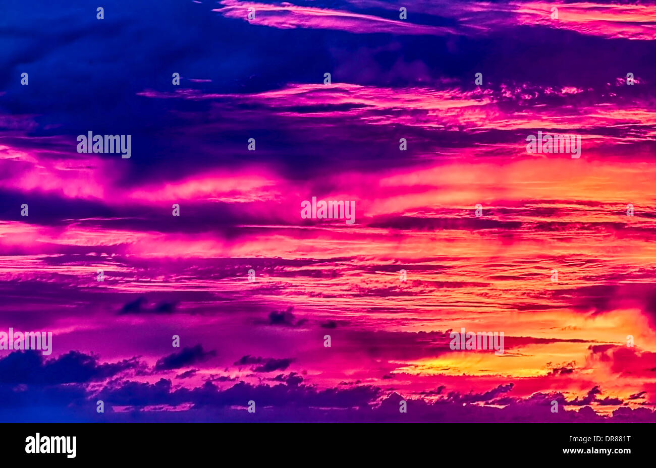 Vibrant intense colors hi-res stock photography and images - Alamy