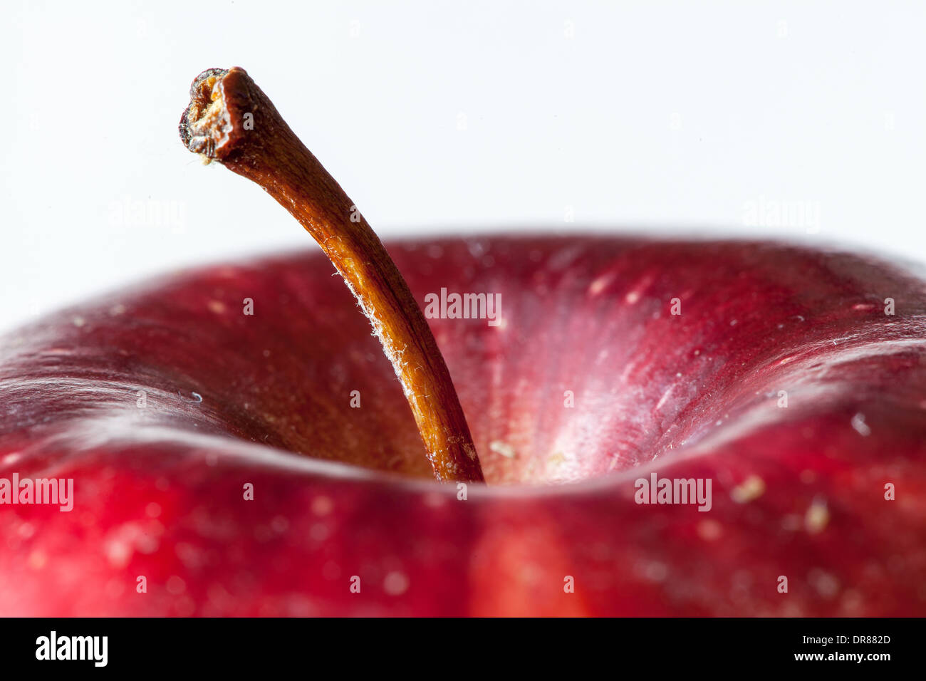 Apple is the pomaceous fruit of the apple tree hi-res stock photography ...