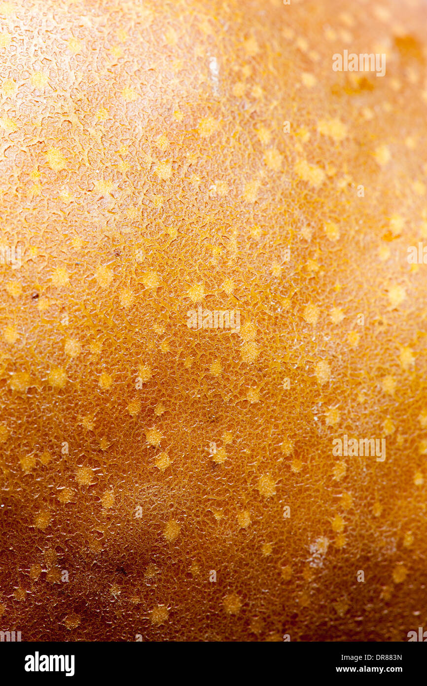 Rosaceae skin hi-res stock photography and images - Alamy