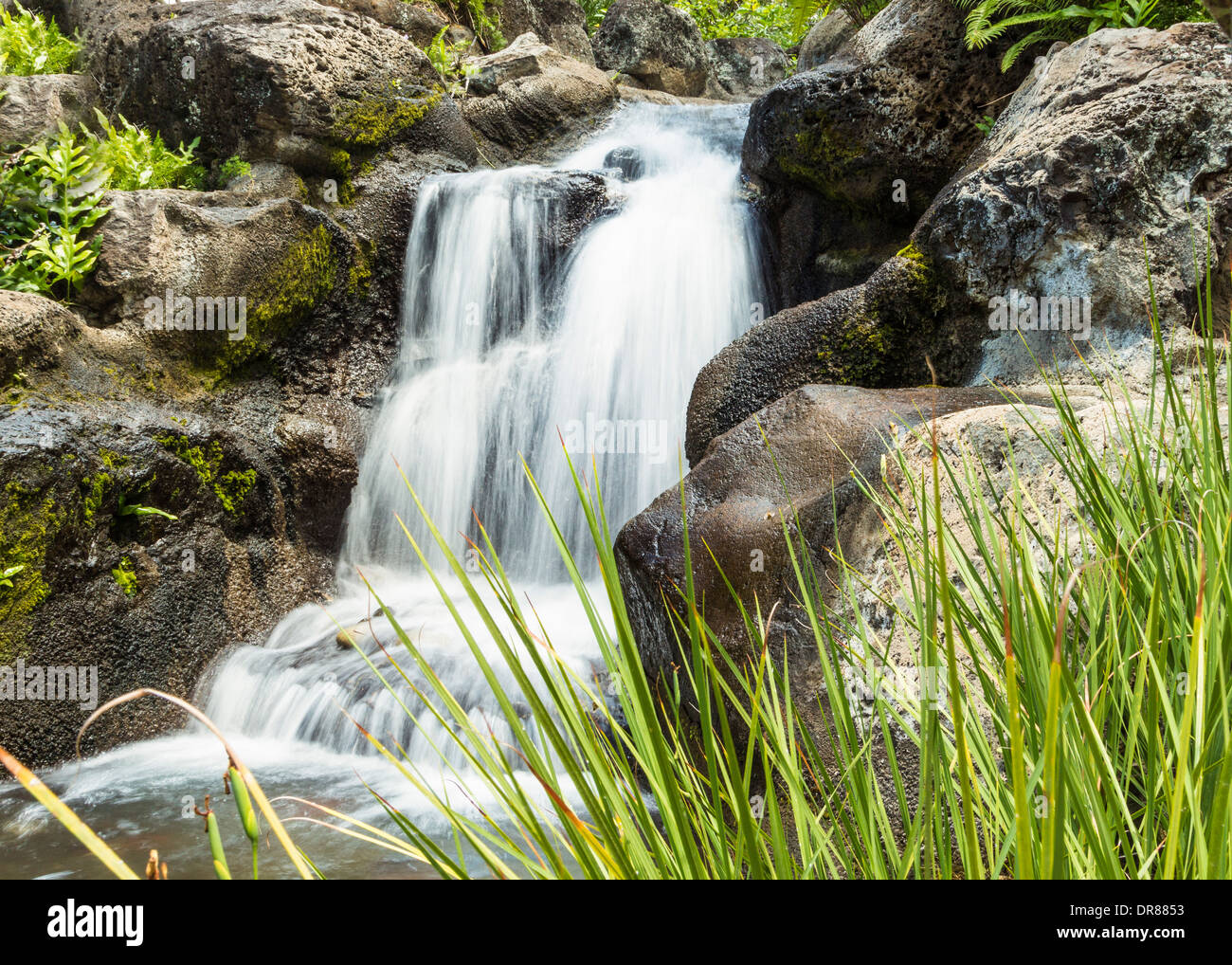 A waterfall cascading down lava rock into a shallow pool surrounded by ...