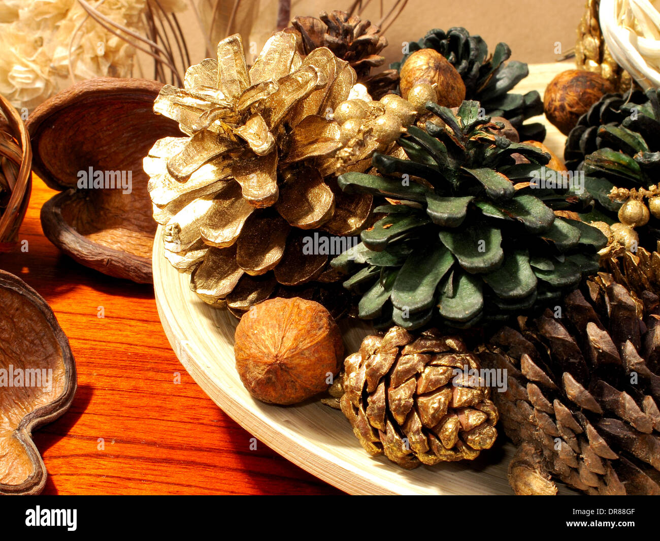 An image showing still life pine cones and shapes Stock Photo - Alamy
