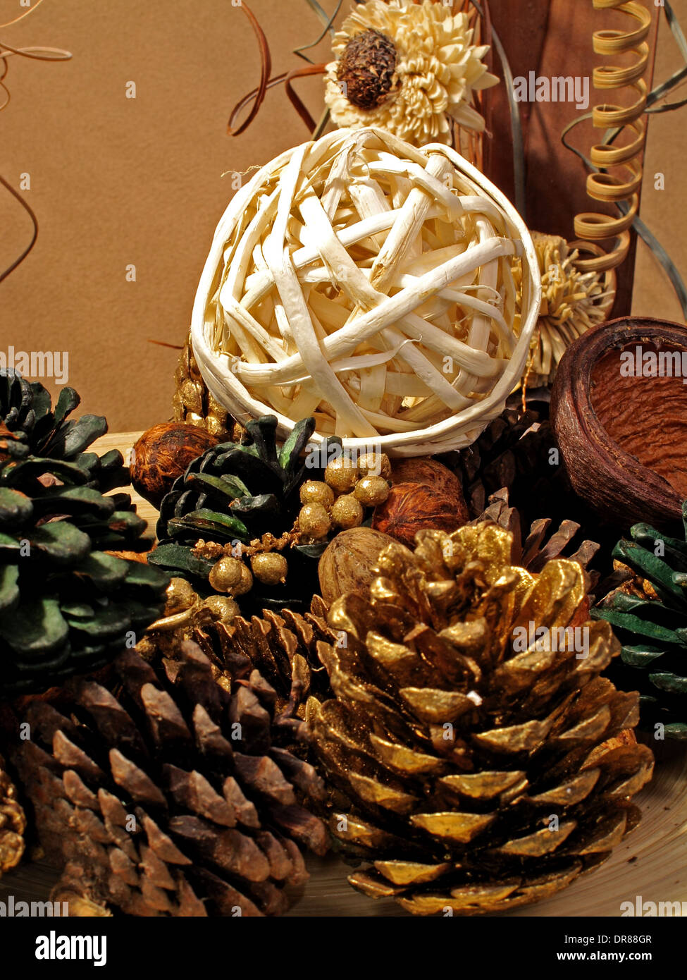 An image showing still life pine cones and shapes Stock Photo - Alamy
