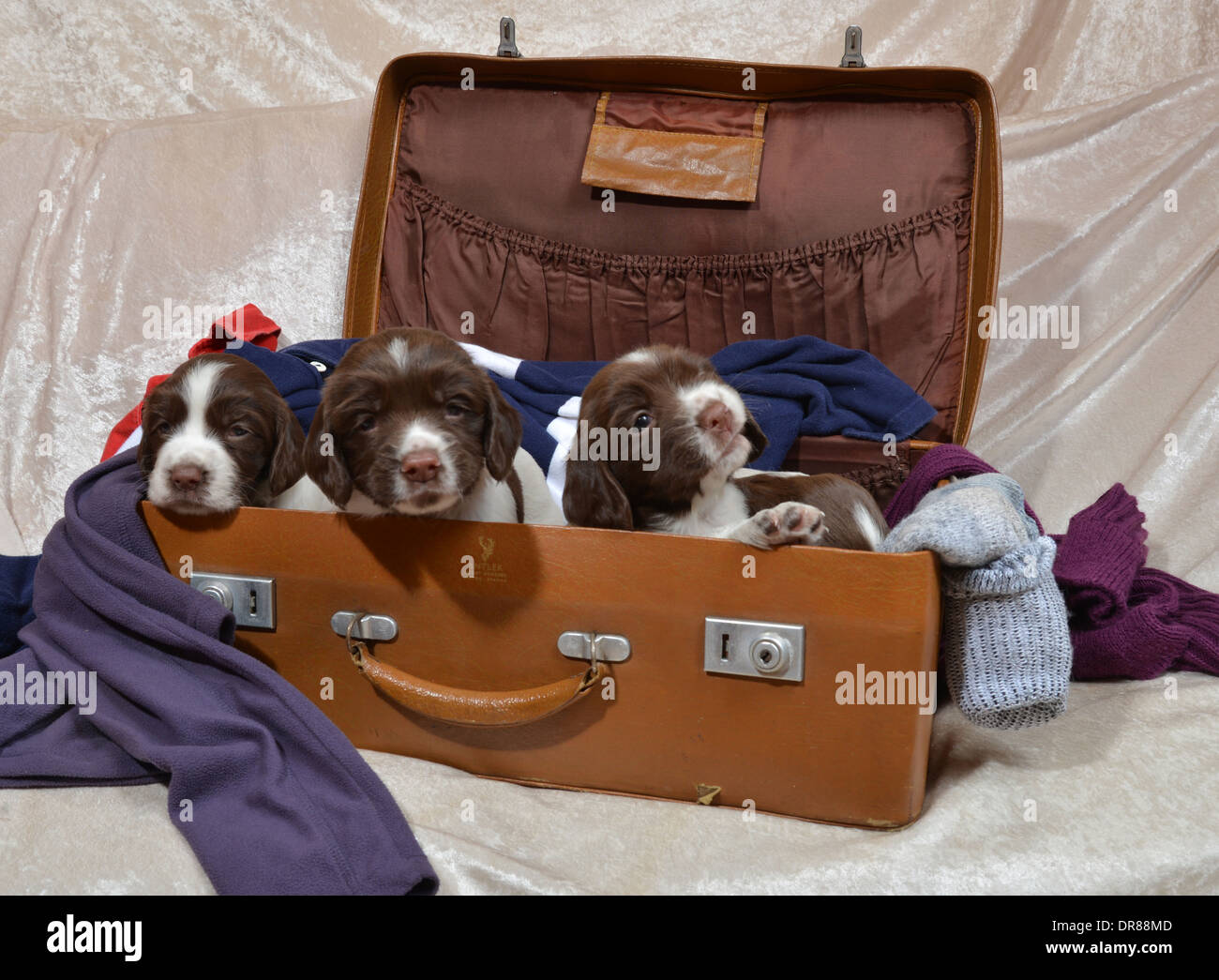 Take us too hi-res stock photography and images - Alamy