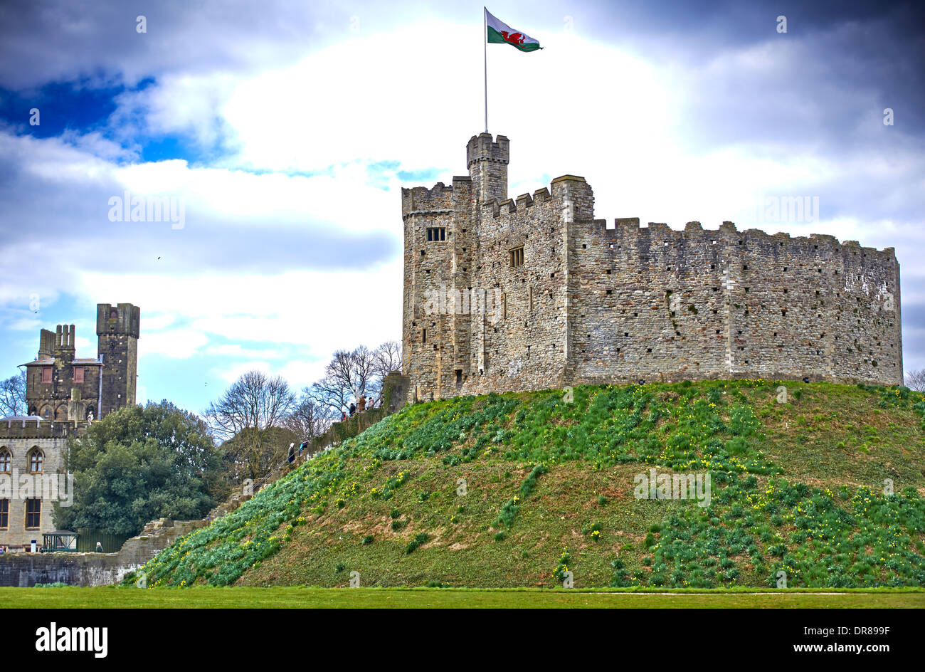 Motte and bailey castle cardiff hi-res stock photography and images - Alamy