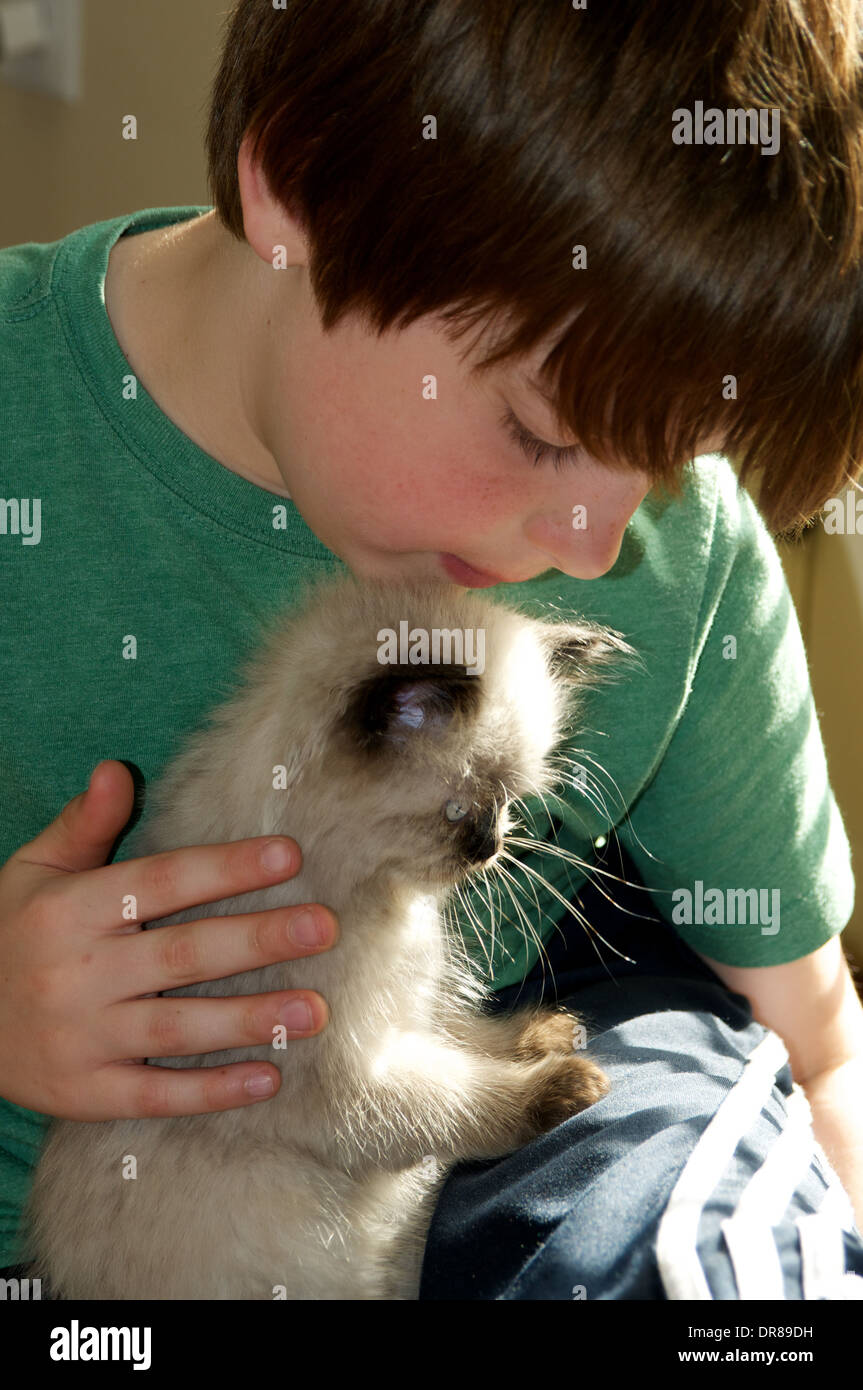 Boy and kitten Stock Photo - Alamy