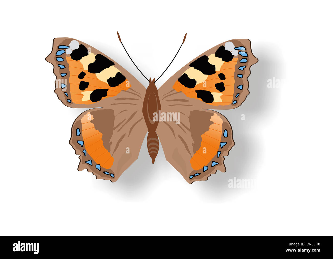 Tortoiseshell Butterfly, Britain, UK Stock Photo - Alamy