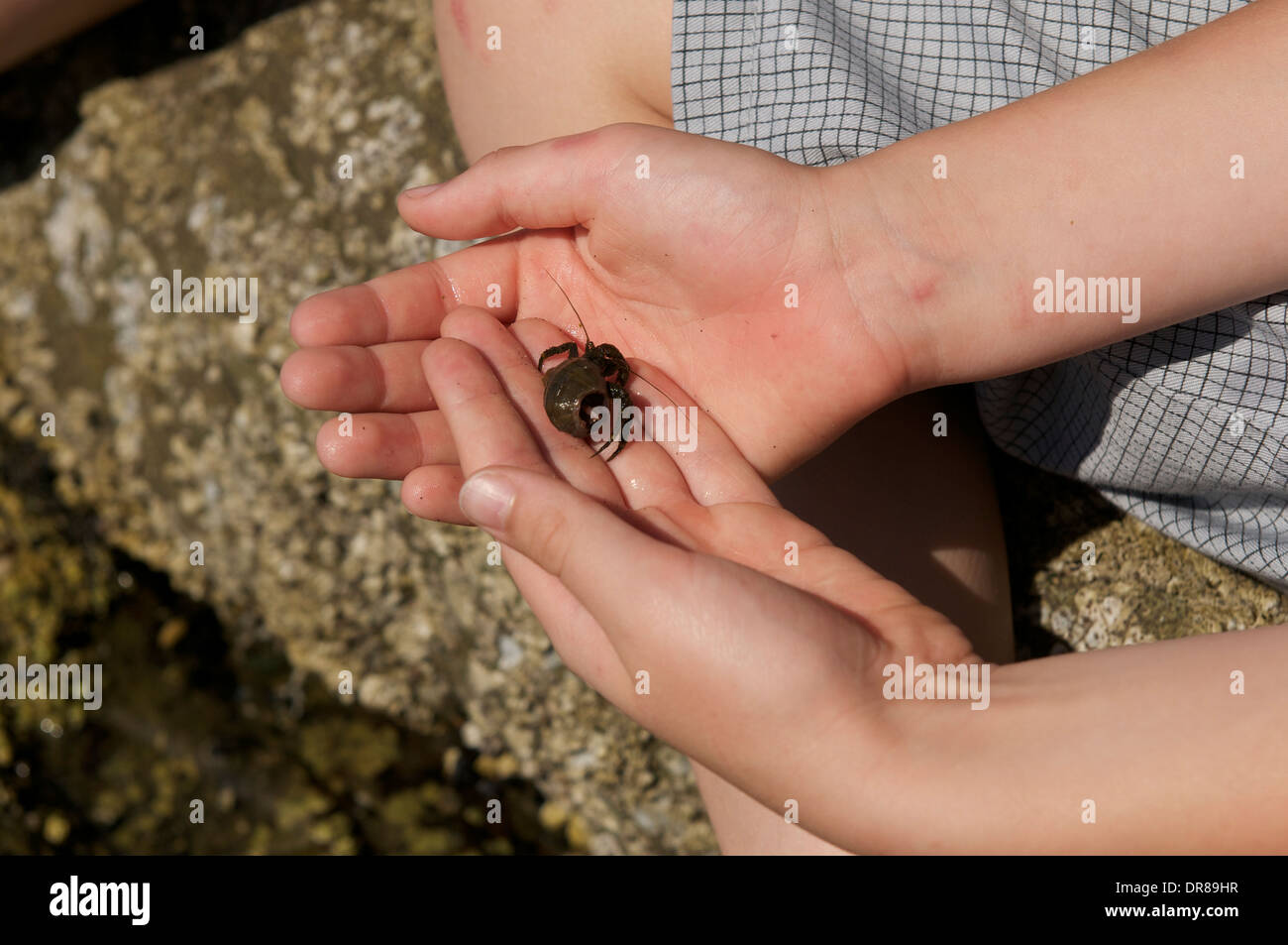 Marine life education hi-res stock photography and images - Alamy