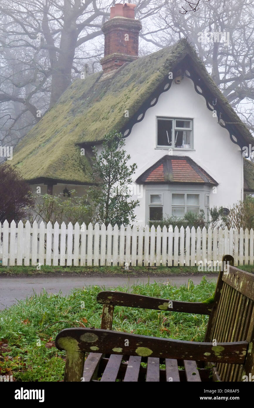Green thatch hi-res stock photography and images - Alamy