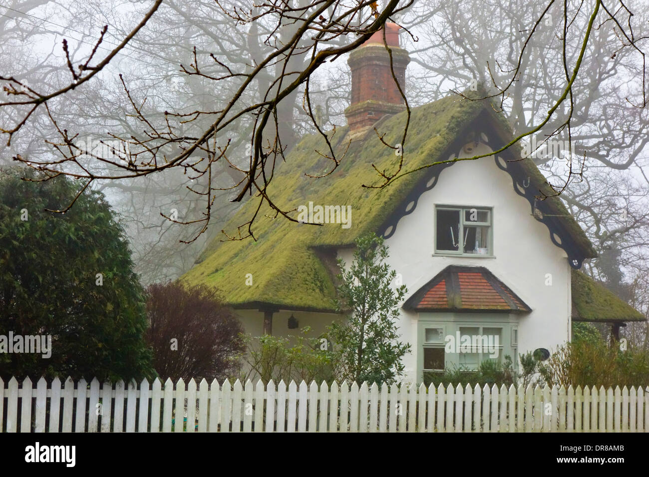 Green thatch hi-res stock photography and images - Alamy