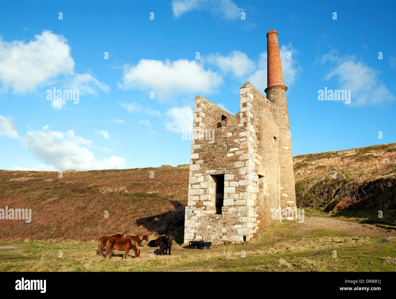 old tin mine at wheal prosper near porthleven in cornwall, uk Stock ...