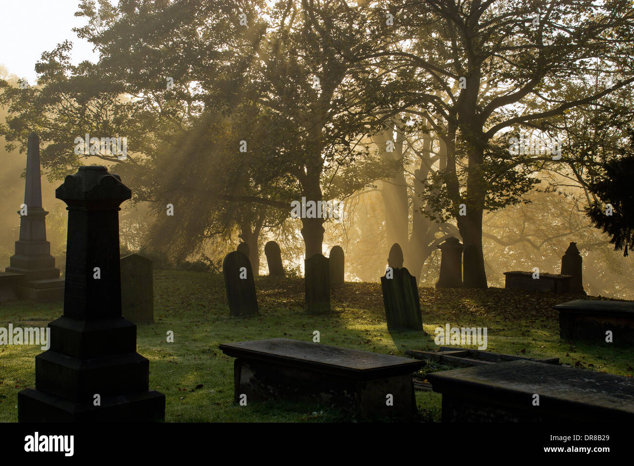 Darfied church yard mist spooky e Stock Photo - Alamy